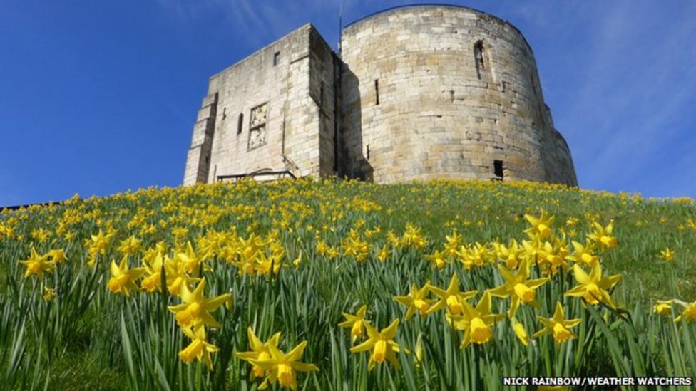 Gallery: Blooming spring! - BBC Weather