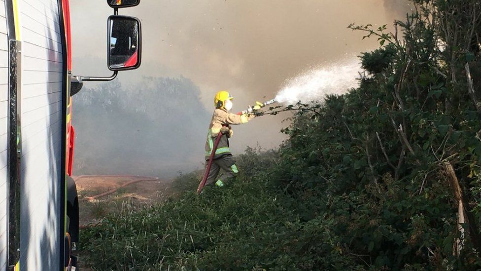New Forest heath-land destroyed by fire - BBC News