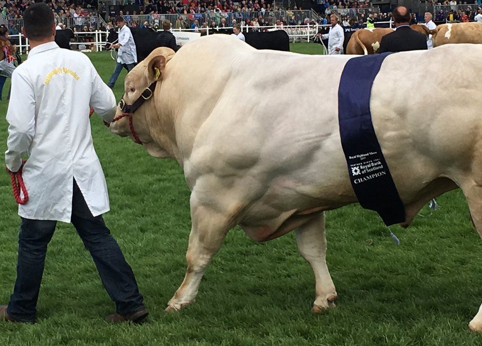 Your pictures of Scotland - BBC News