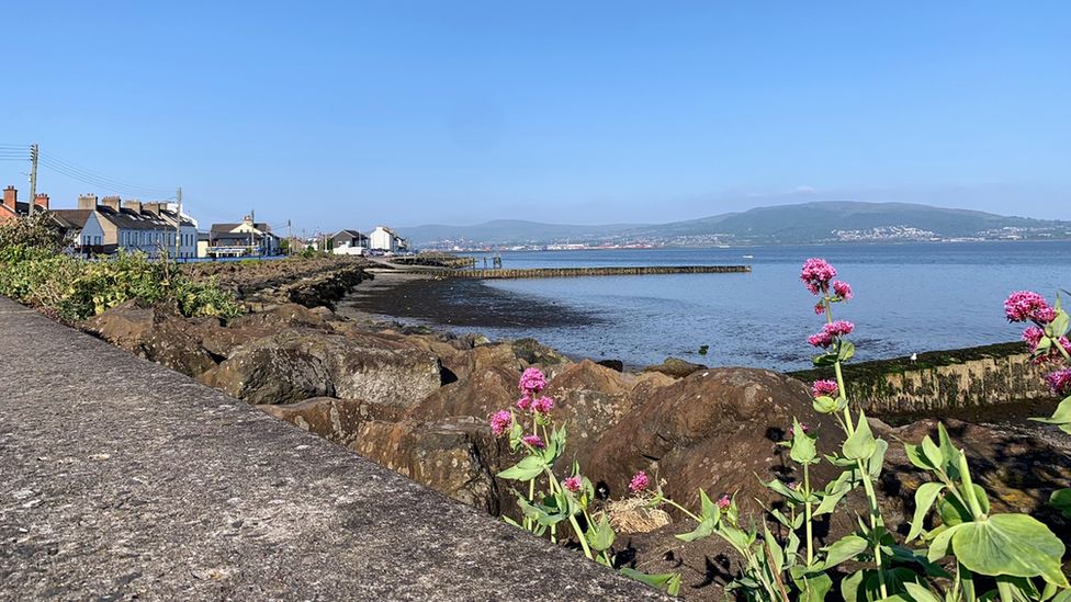 Northern Ireland enjoys blue skies and bright, sunny weather - BBC News