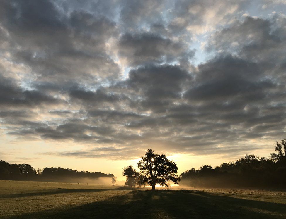 England's Big Picture: 2 - 8 November - BBC News