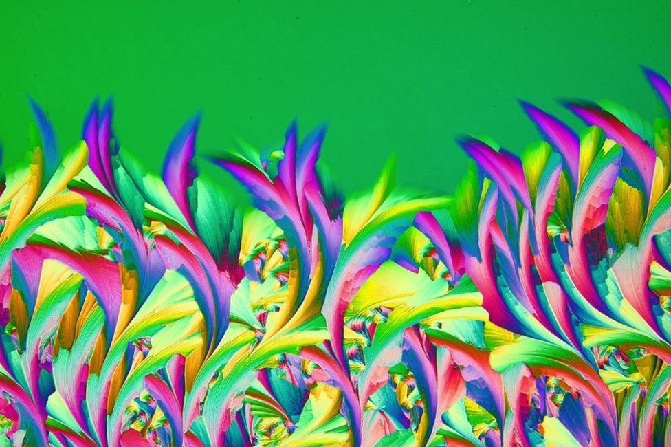 When art meets science, check out these neon pics from under the ...