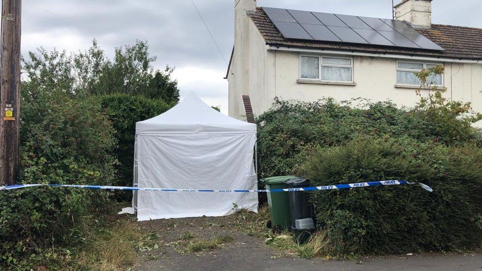 Stonehouse death: Man arrested on suspicion of murder - BBC News