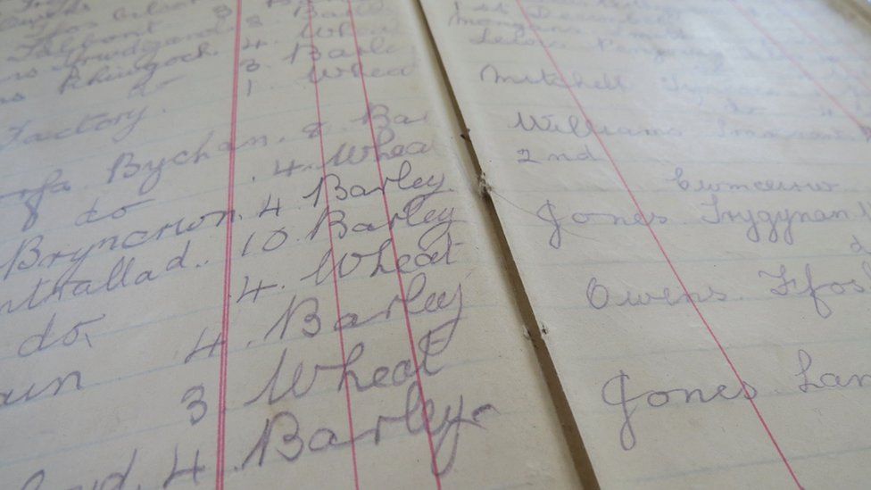 8 ffaith annisgwyl am fwyd yng Nghymru - BBC Cymru Fyw