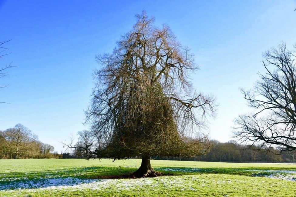 Oxfordshire's Big Picture - BBC News