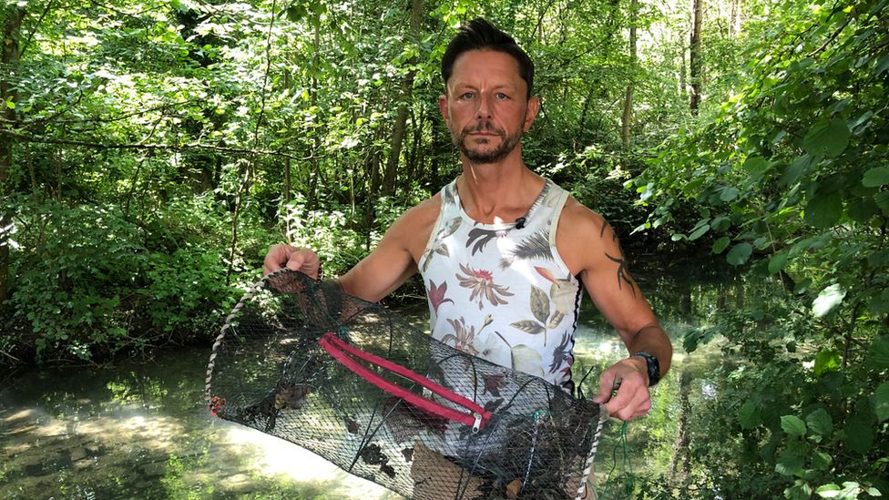 Stroud: 'Traumatic' to find dead otter in trap says wild swimmer - BBC News