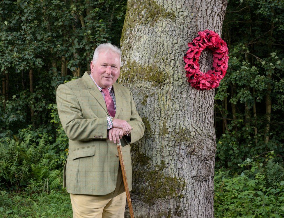 Scotland's tree of the year finalists revealed - BBC News