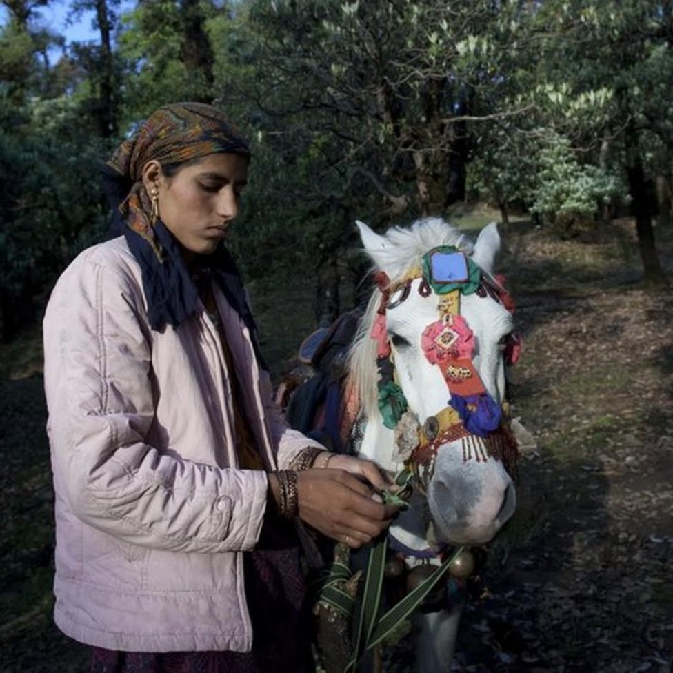Best friends with buffaloes: Inside India's Van Gujjar tribe - BBC News