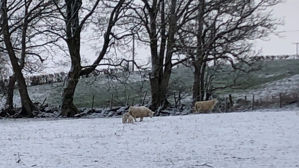 Snow in Shropshire: Wintry scenes around hills - BBC News