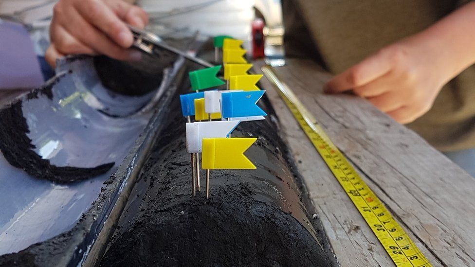 'Rare' samples hold North Sea-bed's Doggerland secrets - BBC News