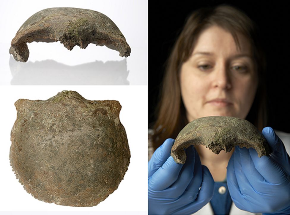 Neolithic skull found by Thames 'mudlarkers' - BBC News