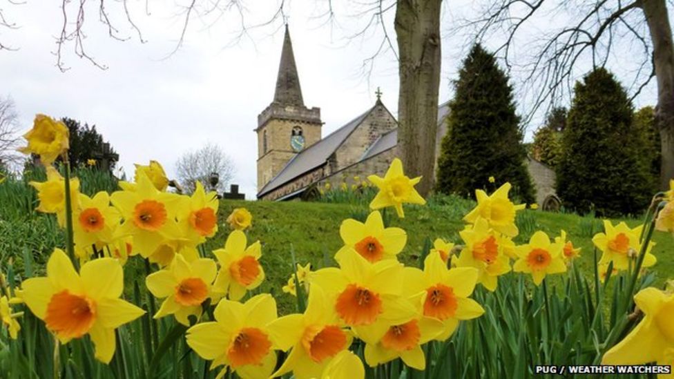 Gallery: Signs of spring - BBC Weather