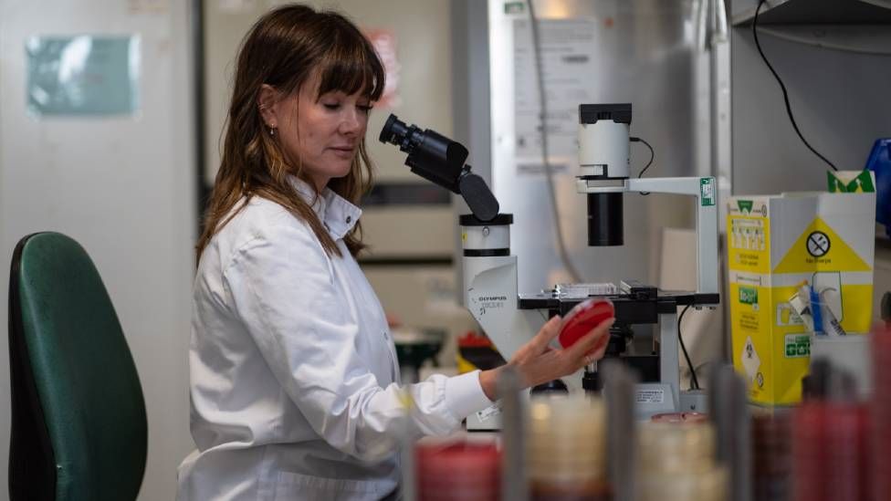When the virus came to our hospital - BBC News