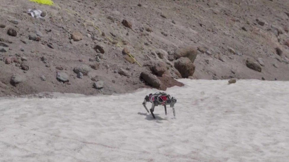 Nasa prepares robot dog for exploring the Moon - BBC Newsround