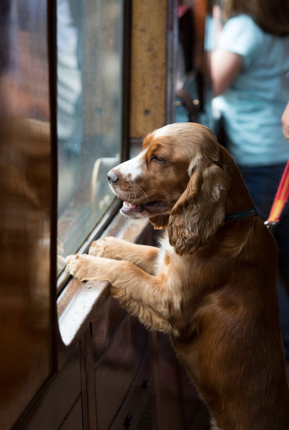 Your pictures: Windows - BBC News