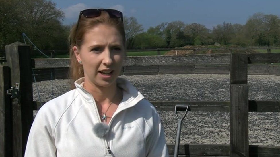 Dog-on-horse attack in Wokingham sparks call for law change - BBC News