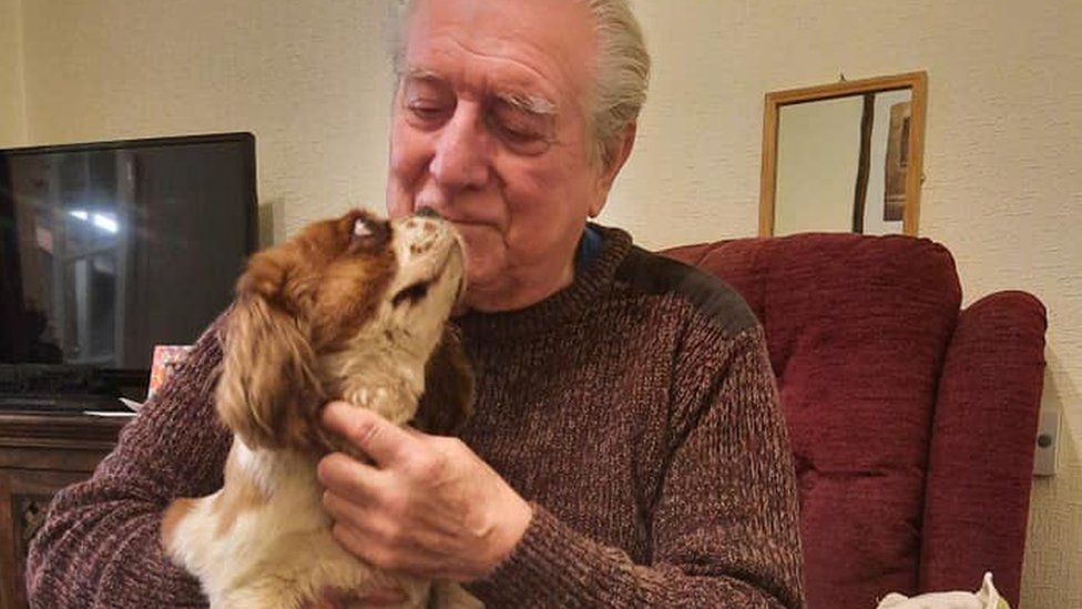 Dog stolen before Christmas is returned to owner - BBC News