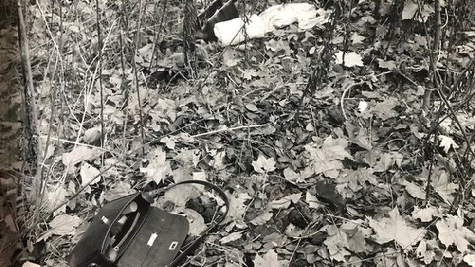 Rita Ellis murder: New DNA in 1967 RAF base cold case - BBC News