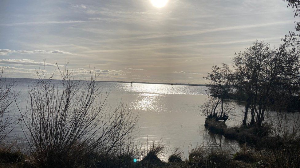 Lough Neagh: Toxic algae potentially waking again - BBC News