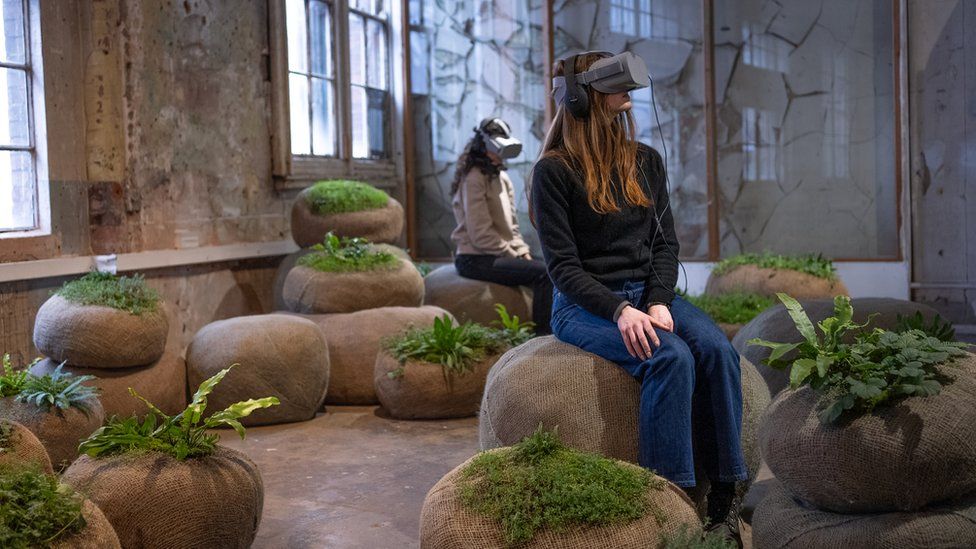 Art: Immersive nature exhibition opens in Oxo Tower - BBC News