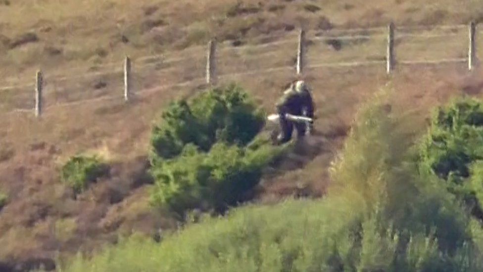 Gamekeeper filmed by RSPB shooting bird of prey - BBC News