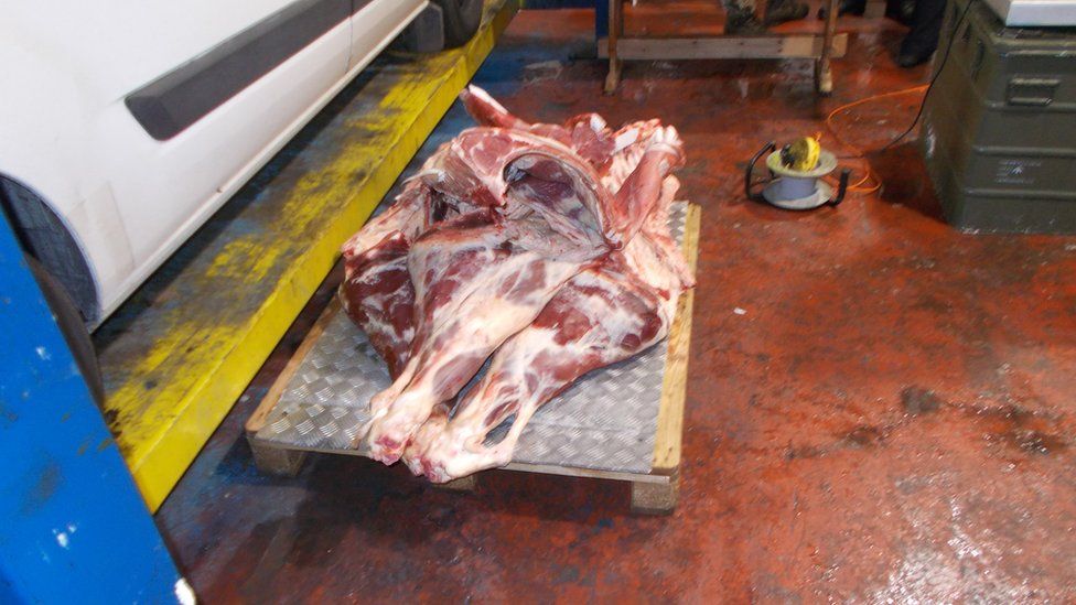 Man who ran meat operation from Wiltshire car wash jailed - BBC News