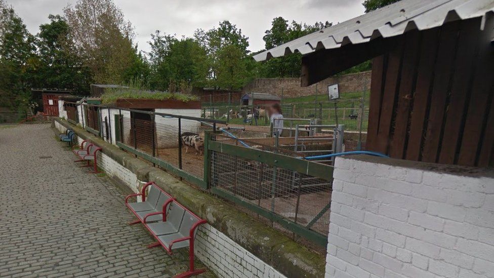 Gorgie City farm raises £100,000 in six weeks - BBC News