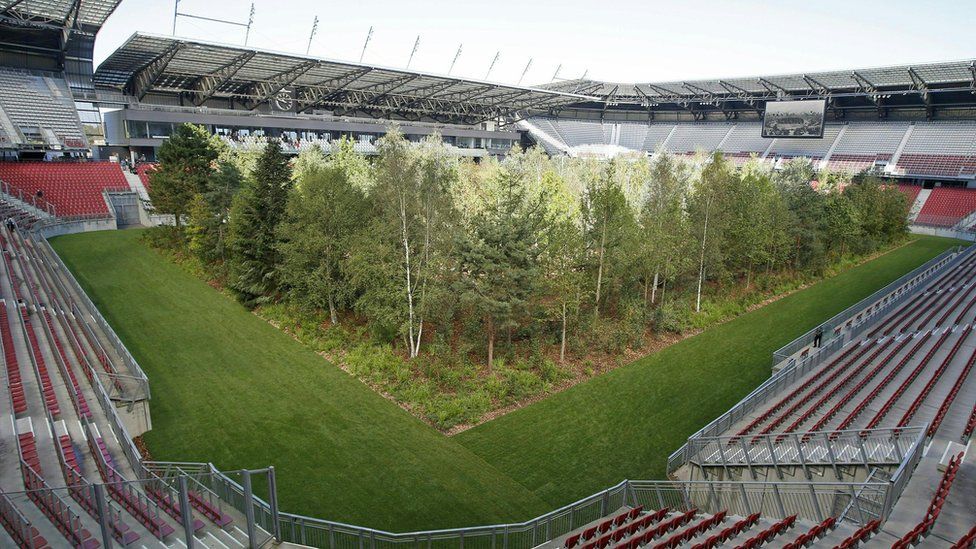 Climate change artwork: Klagenfurt Football stadium becomes a forest ...