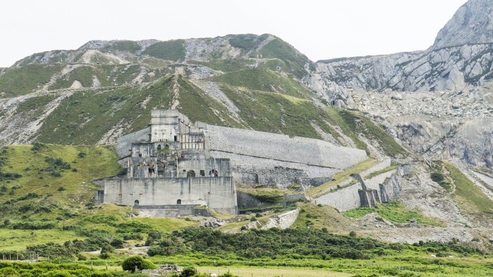 Cwis: Yr enw Trefor - BBC Cymru Fyw