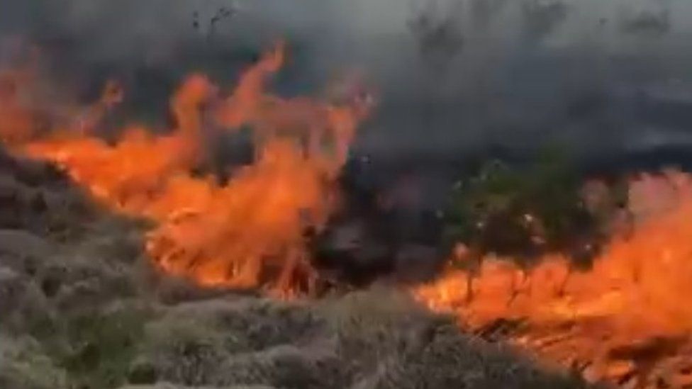Fire rips through Hazeley Heath nature reserve - BBC News
