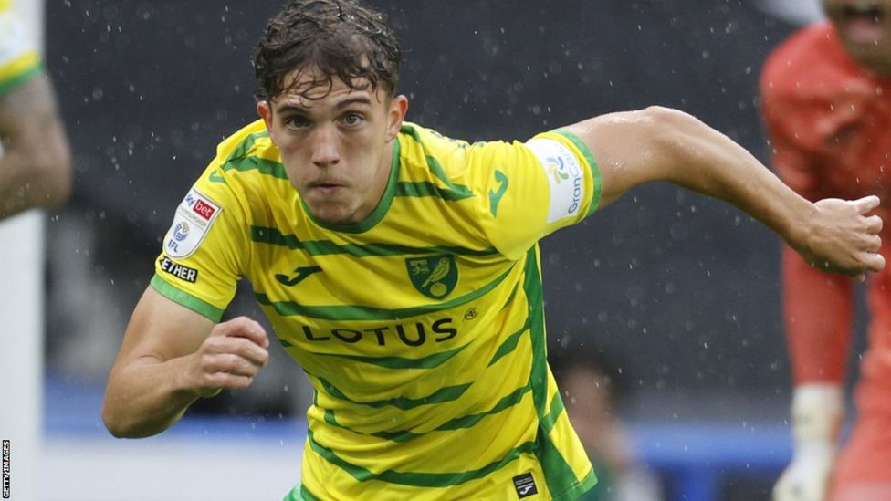 Tony Springett: Northampton Town sign Norwich City forward on loan ...
