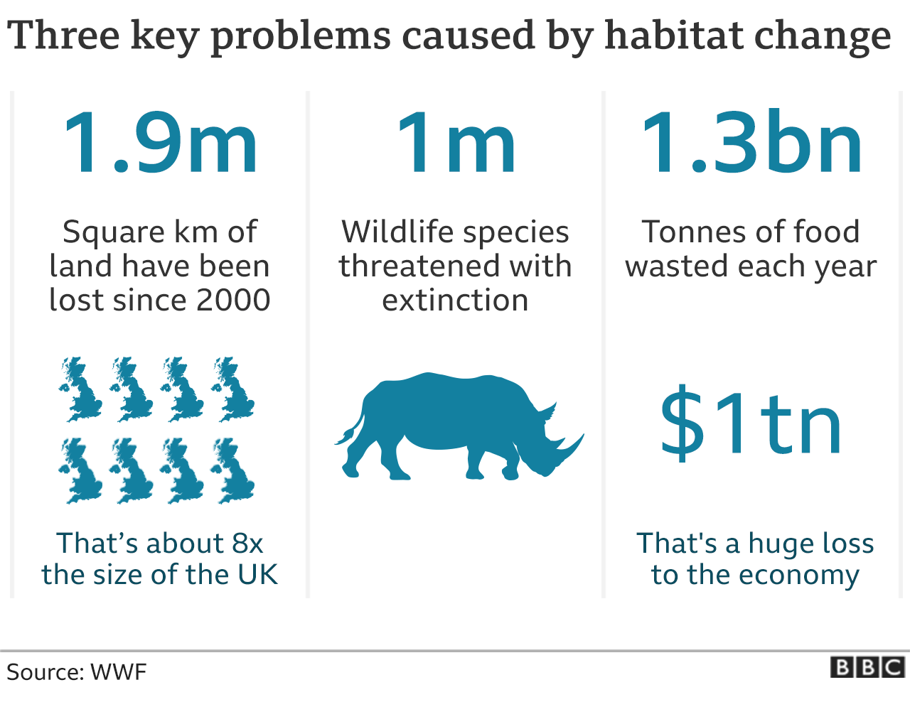 Wildlife in 'catastrophic decline' due to human destruction, scientists ...