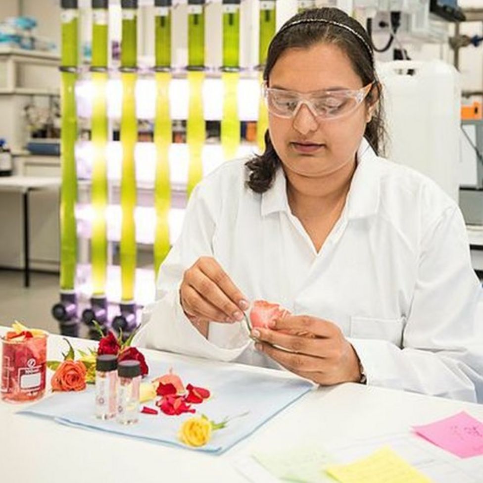 My green idea: Recycling India's floral waste - BBC News