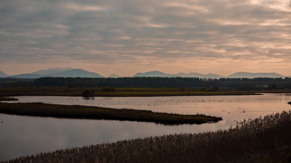 Y gaeaf... drwy lens camera Clare Harding - BBC Cymru Fyw