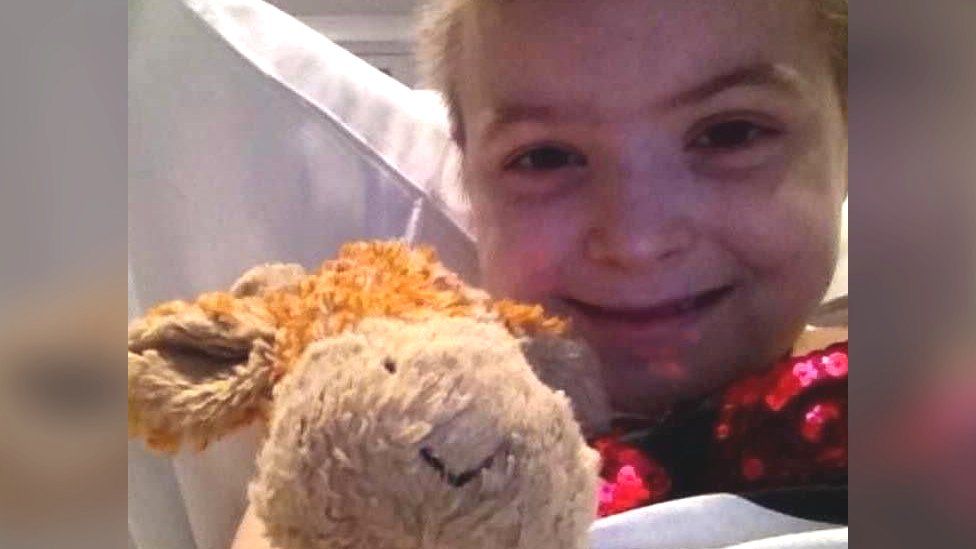 RAF Voyager with toy giraffes raises money for Great Ormond Street ...