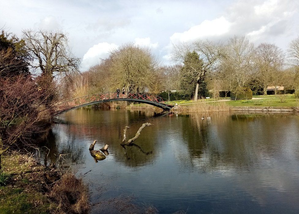 England's Big Picture: 13 March - 19 March 2023 - BBC News