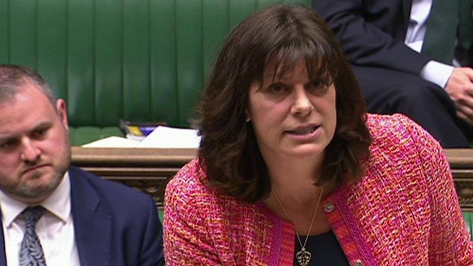 Devizes MP Claire Perry 'will not stand in next general election' - BBC ...