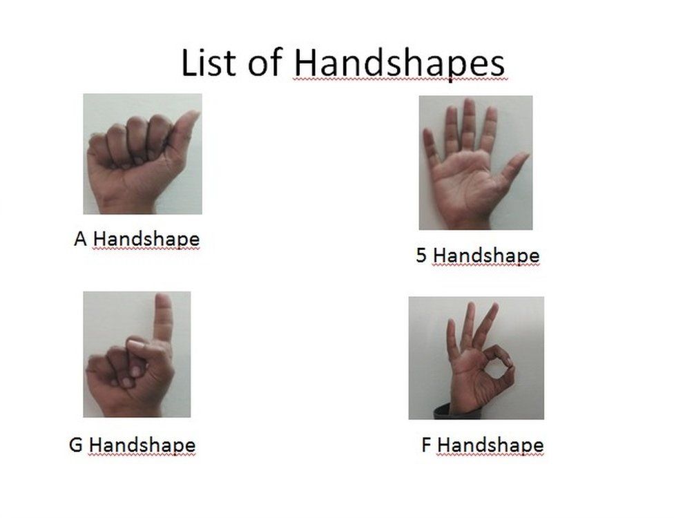 The people behind India's first sign language dictionary - BBC News