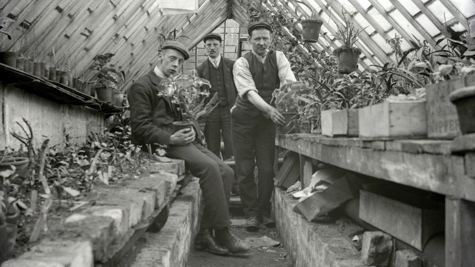 Restorer blown away by images of early 20th Century on dirty slides ...