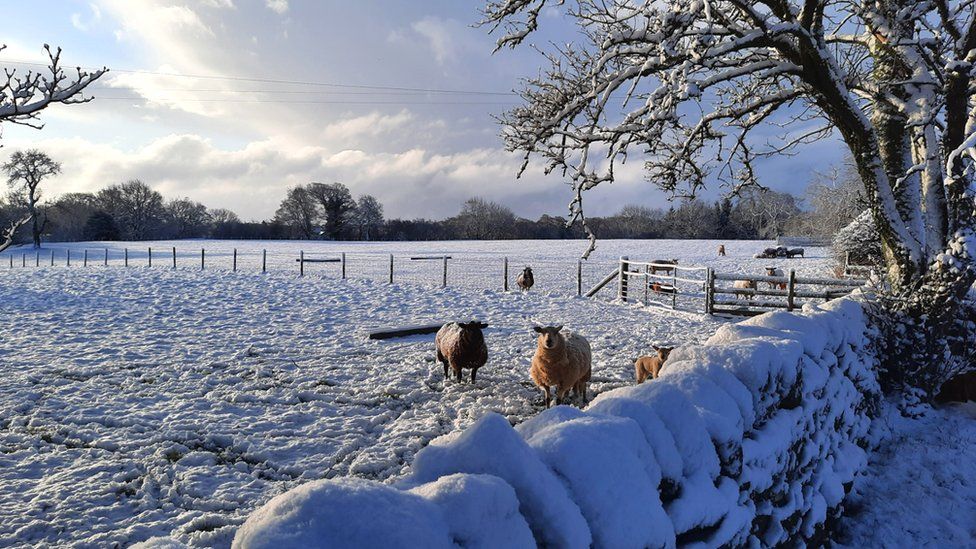 Northern England wakes to blanket of snow and icy roads - BBC News