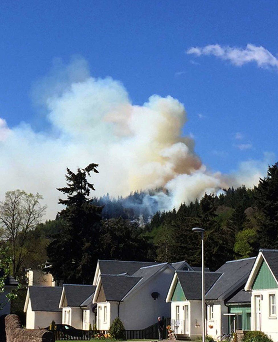 Firefighters tackle fire in forest near Pitlochry - BBC News