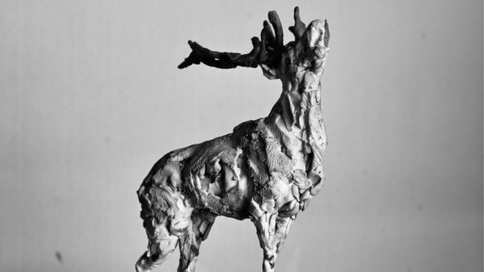 Animal sculptures to be installed on Swindon roundabouts - BBC News