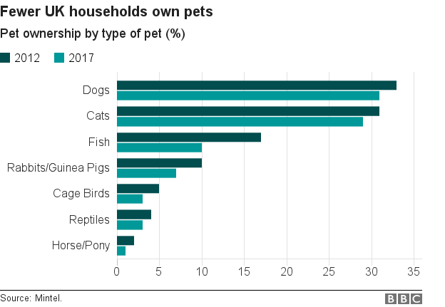 Pets in the doghouse as ownership falls - BBC News