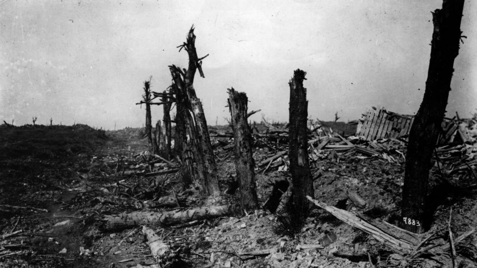 Mametz Wood: The Welsh attack and its legacy - BBC News