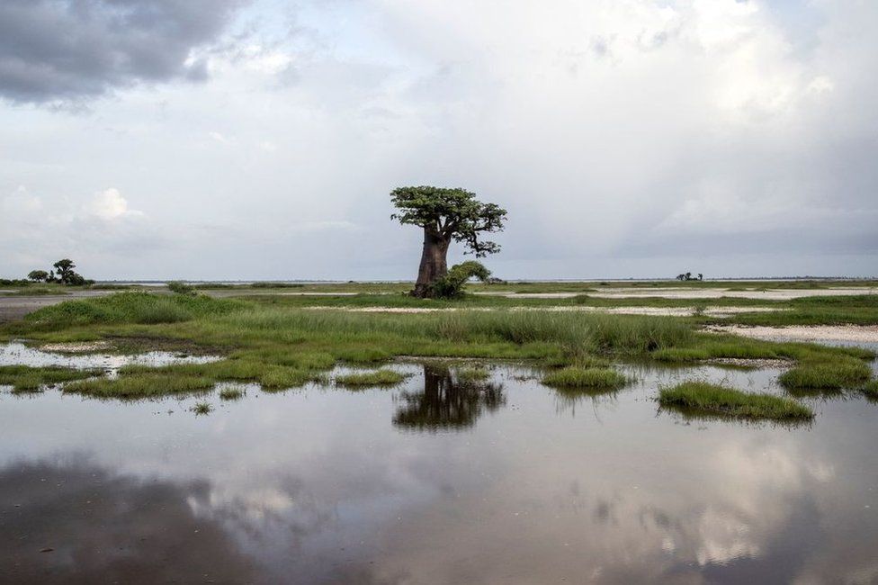 Africa's week in pictures: 27 August - 2 September 2021 - BBC News
