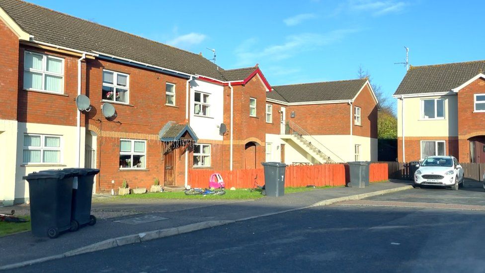 Disabled Downpatrick woman feels trapped in her own home - BBC News