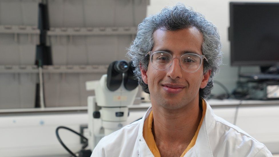 Bendithio priodas cwpl hoyw yn Eglwys Gadeiriol Llandaf - BBC Cymru Fyw