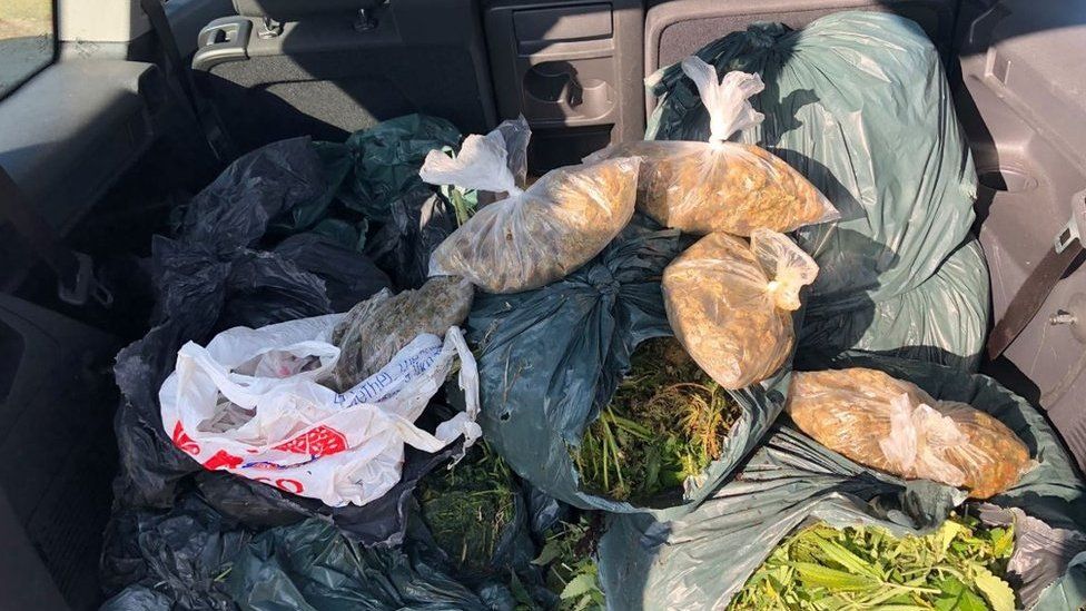 Cannabis haul found after police follow scent in Ramsey - BBC News