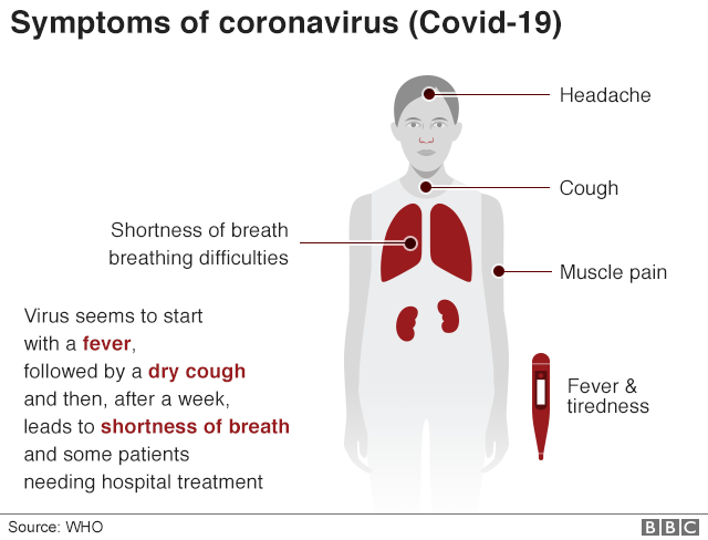 Health officials: Coronavirus spread to the US 'inevitable' - BBC News