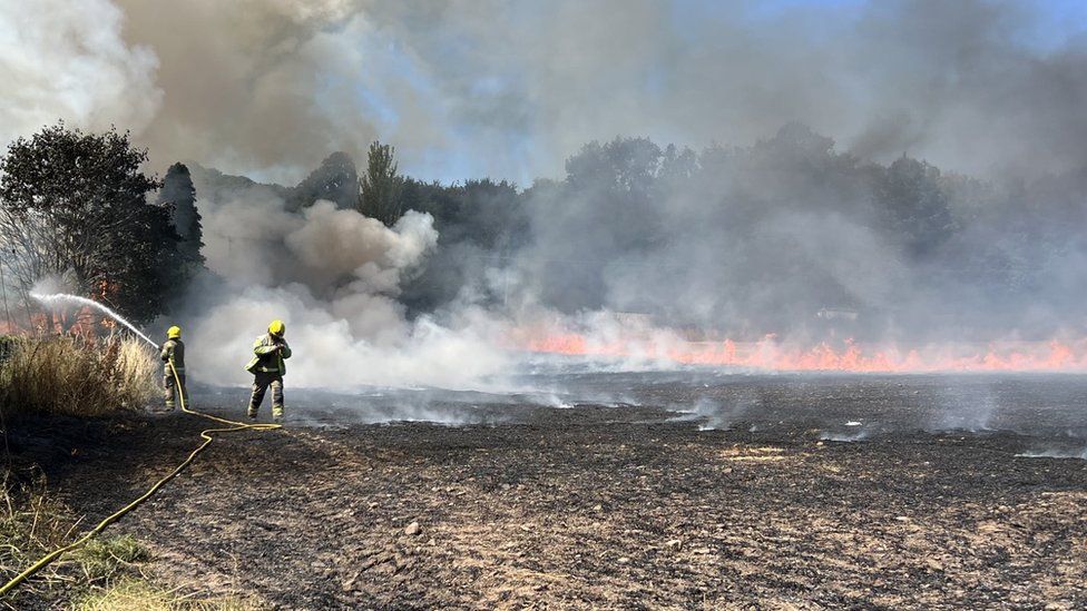 Great Witley field fire moved at 'an alarming rate' - BBC News